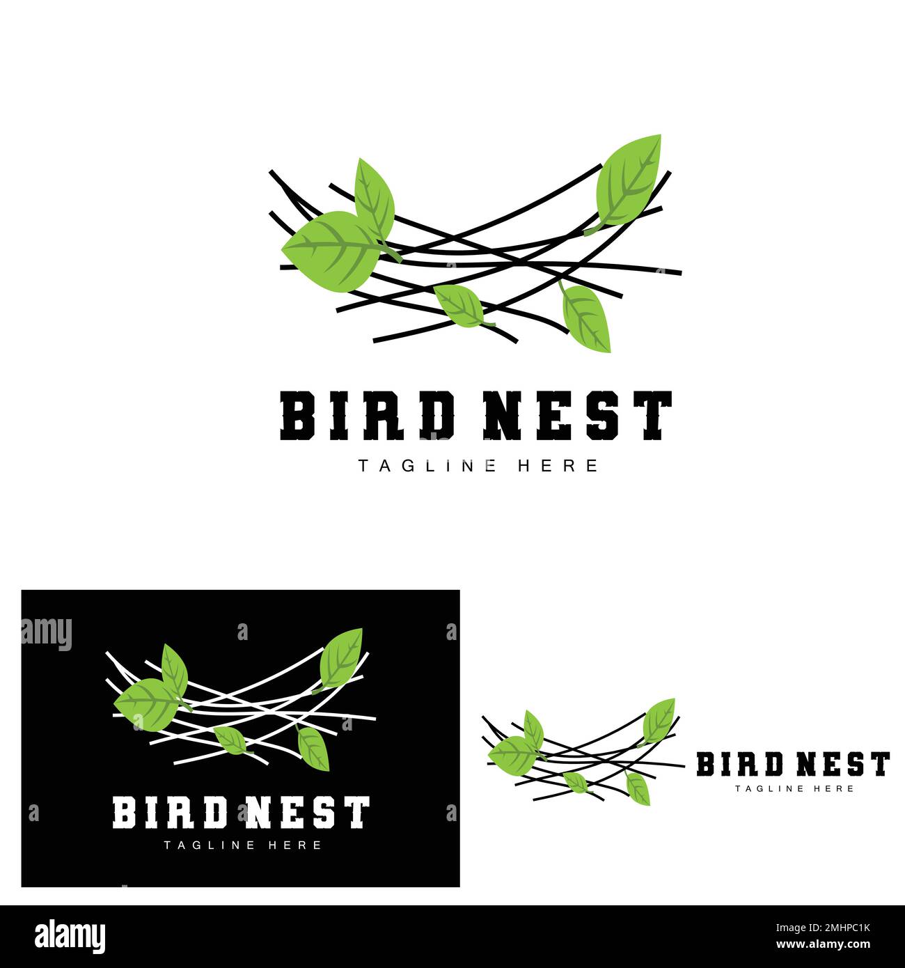 Birds In Nest Logo