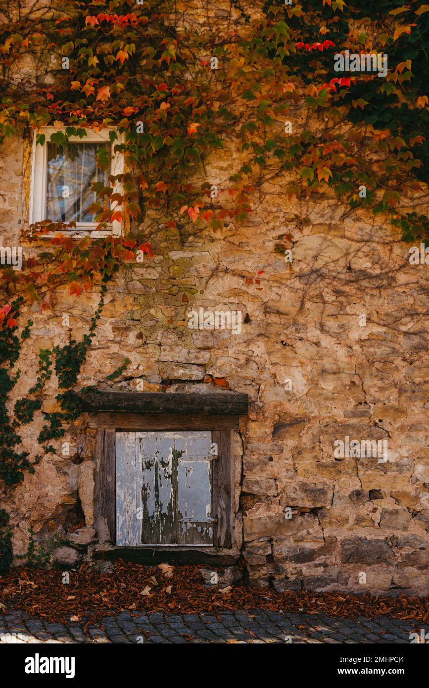 Old vintage rustic German shabby small house with colorful grapevine ...