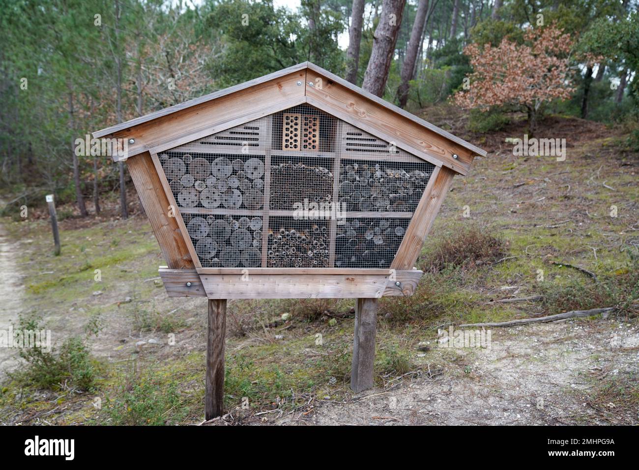 natural wild bug hotel wood insect house ladybird wooden bee home in ...