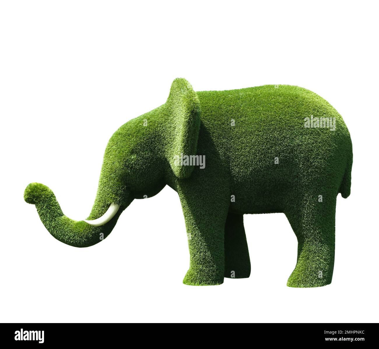 Elephant shape topiary Cut Out Stock Images & Pictures - Alamy