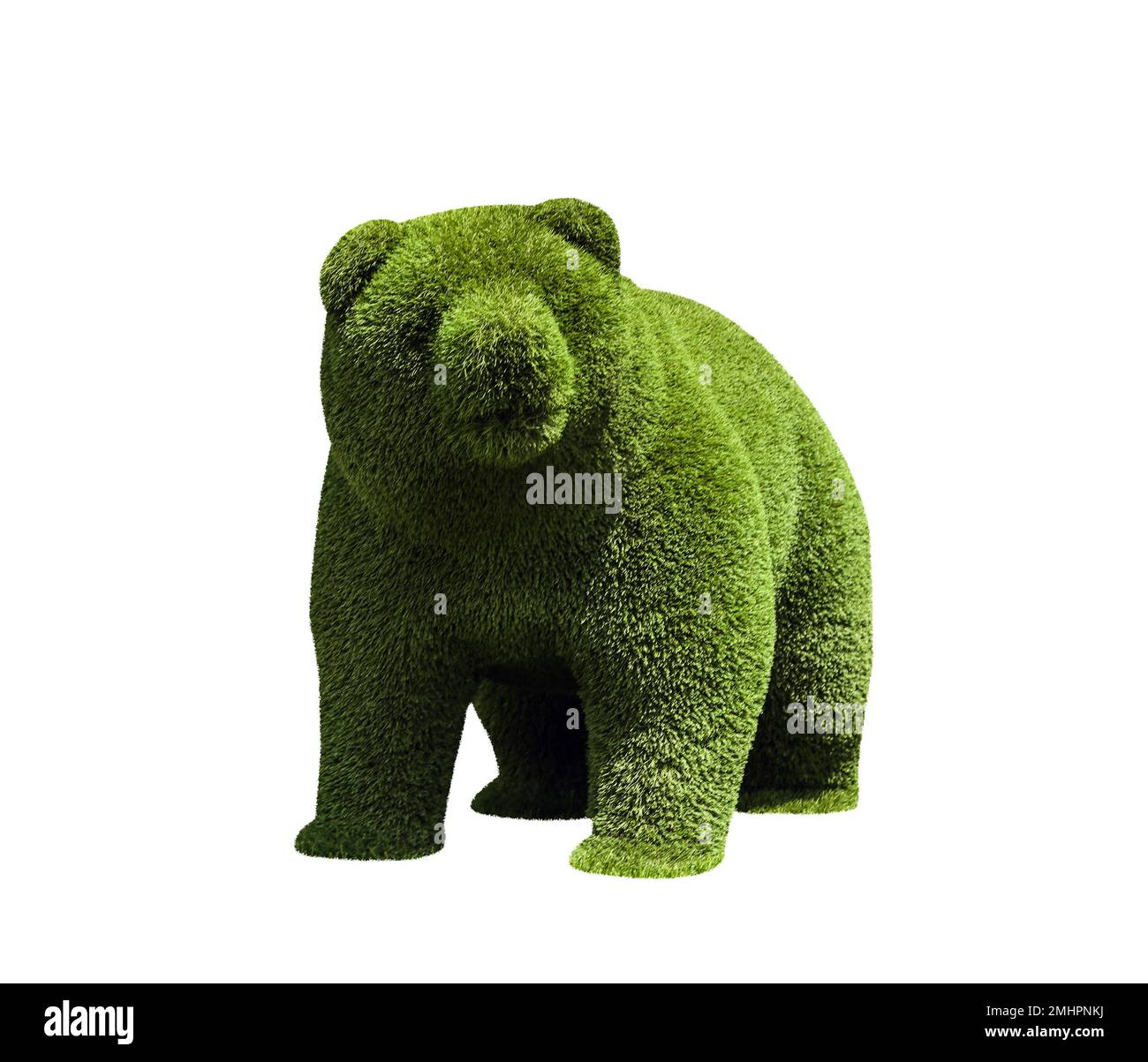 Beautiful bear shaped topiary isolated on white. Landscape gardening ...