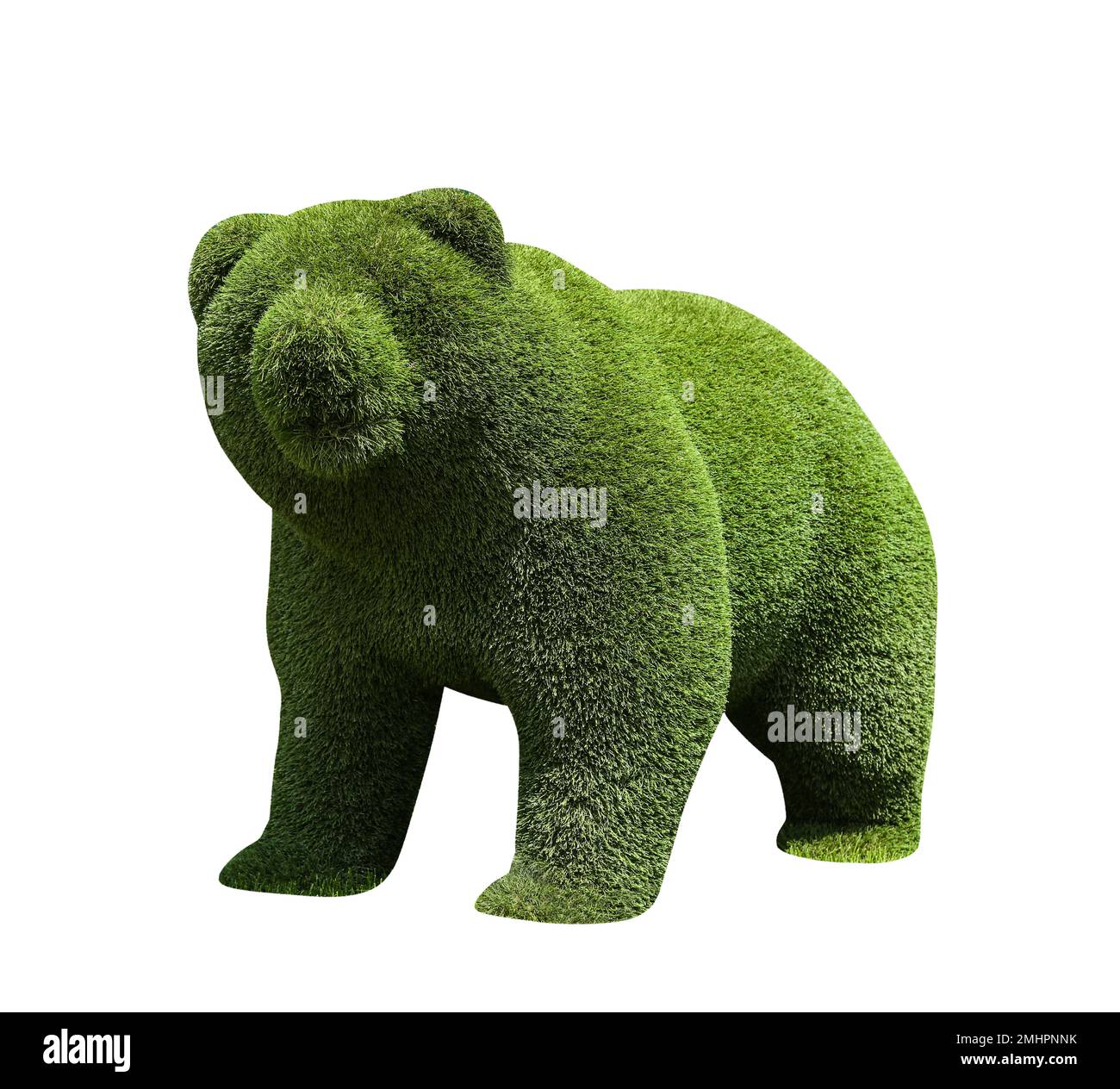 Beautiful bear shaped topiary isolated on white. Landscape gardening ...