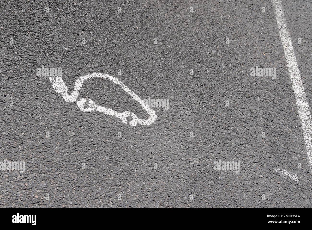 paint sign logo floor indicates parking space reserved for electric ...