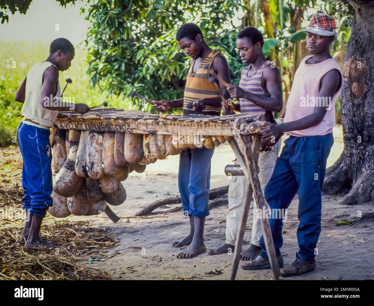 Zambia, in the rural area outside Mongu several musicians play the a ...
