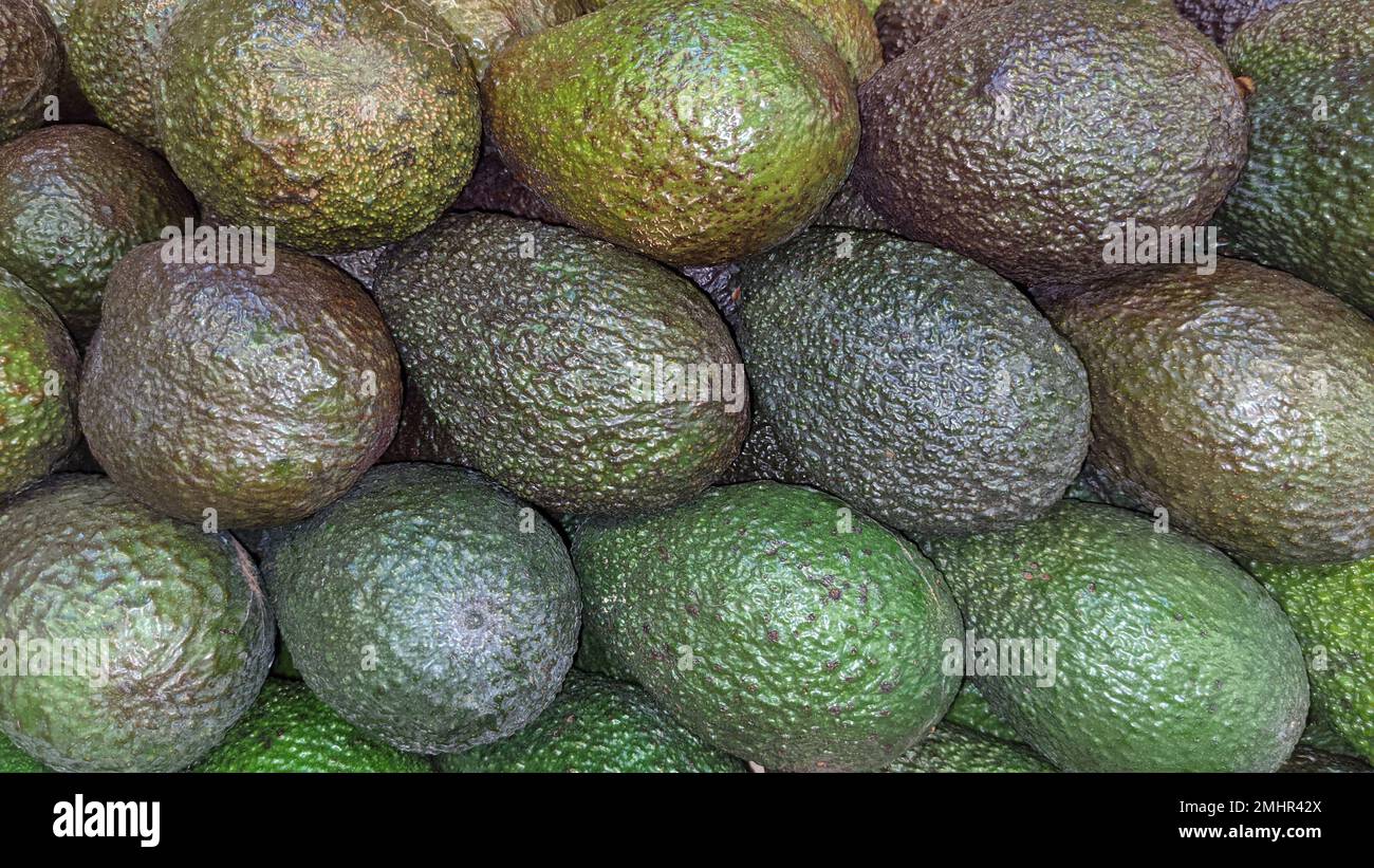 Organic avocado Close-up as background Texture in wallpaper Harvest ...