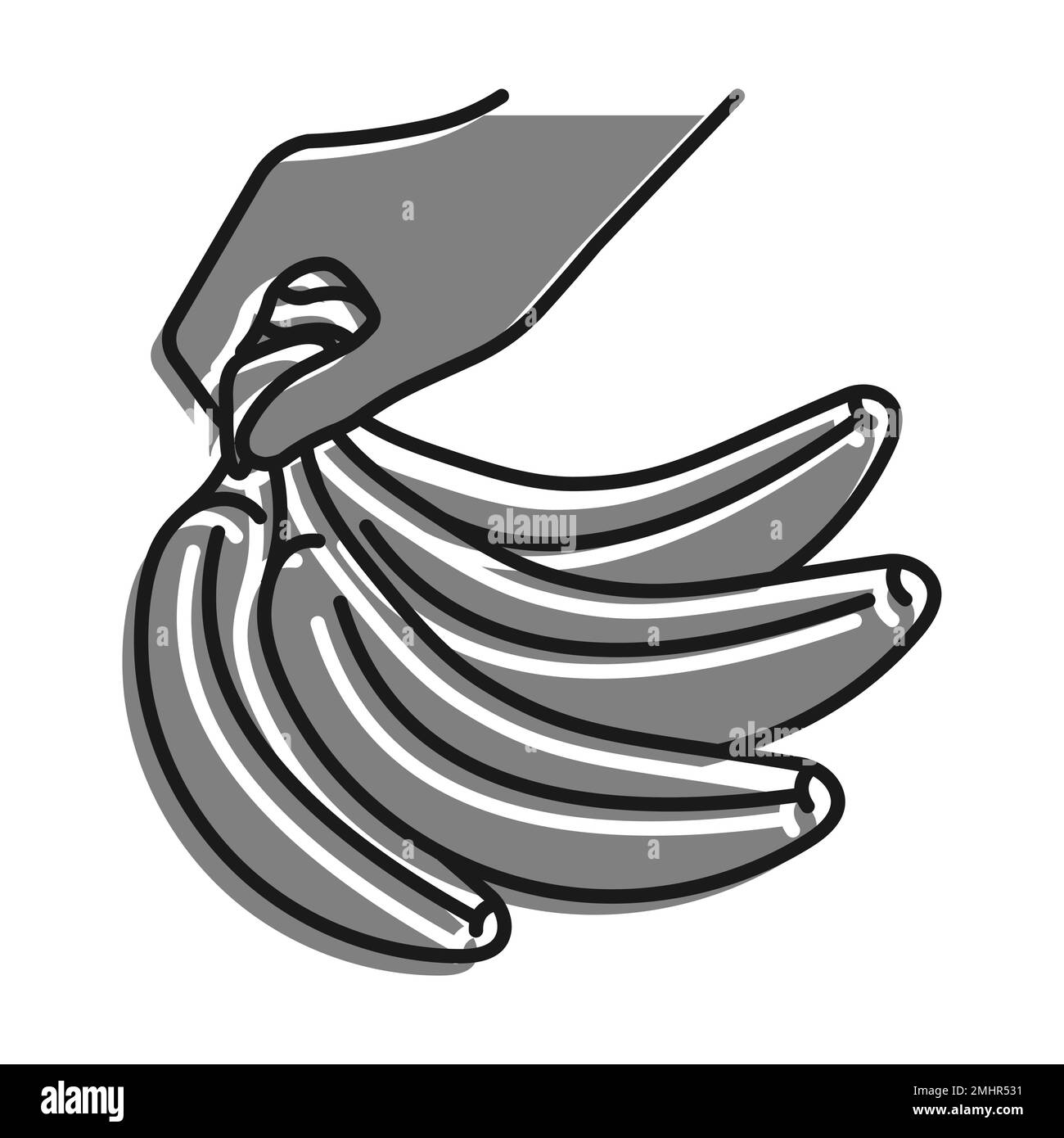 Hand of bananas Black and White Stock Photos & Images - Alamy