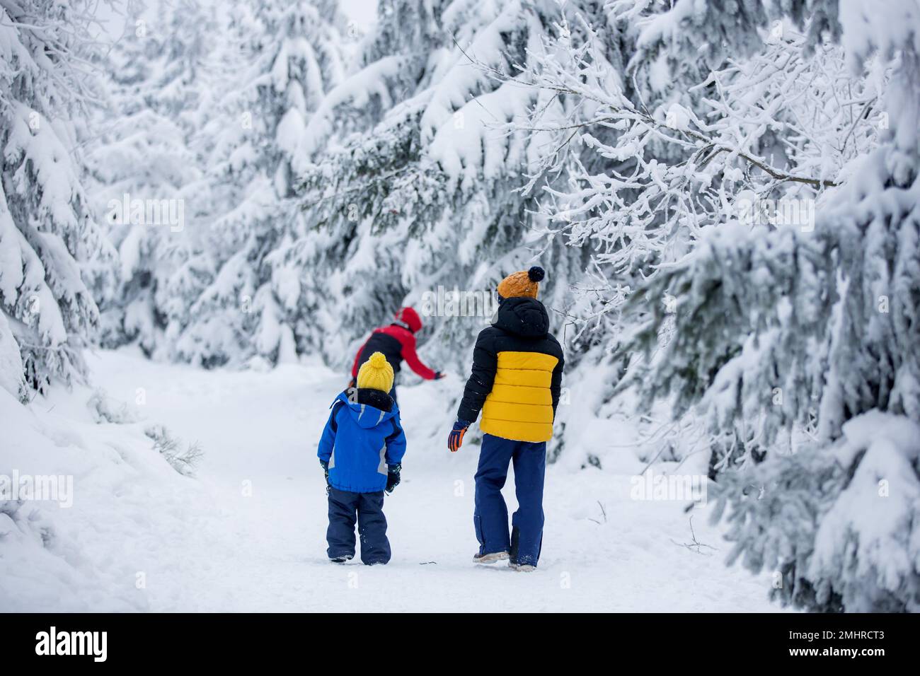 Sweet happy children, brothers, playing in deep snow in forest, frosted ...