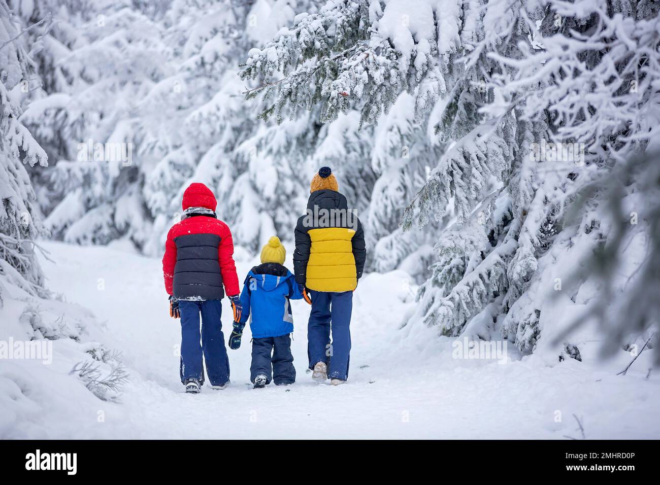 Sweet happy children, brothers, playing in deep snow in forest, frosted ...