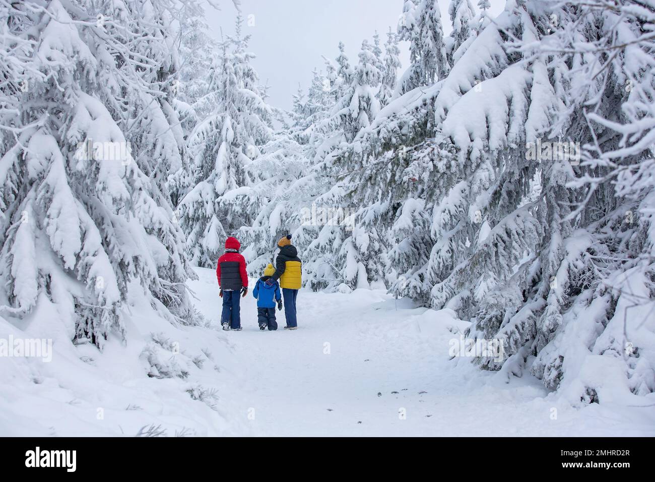 Sweet happy children, brothers, playing in deep snow in forest, frosted ...