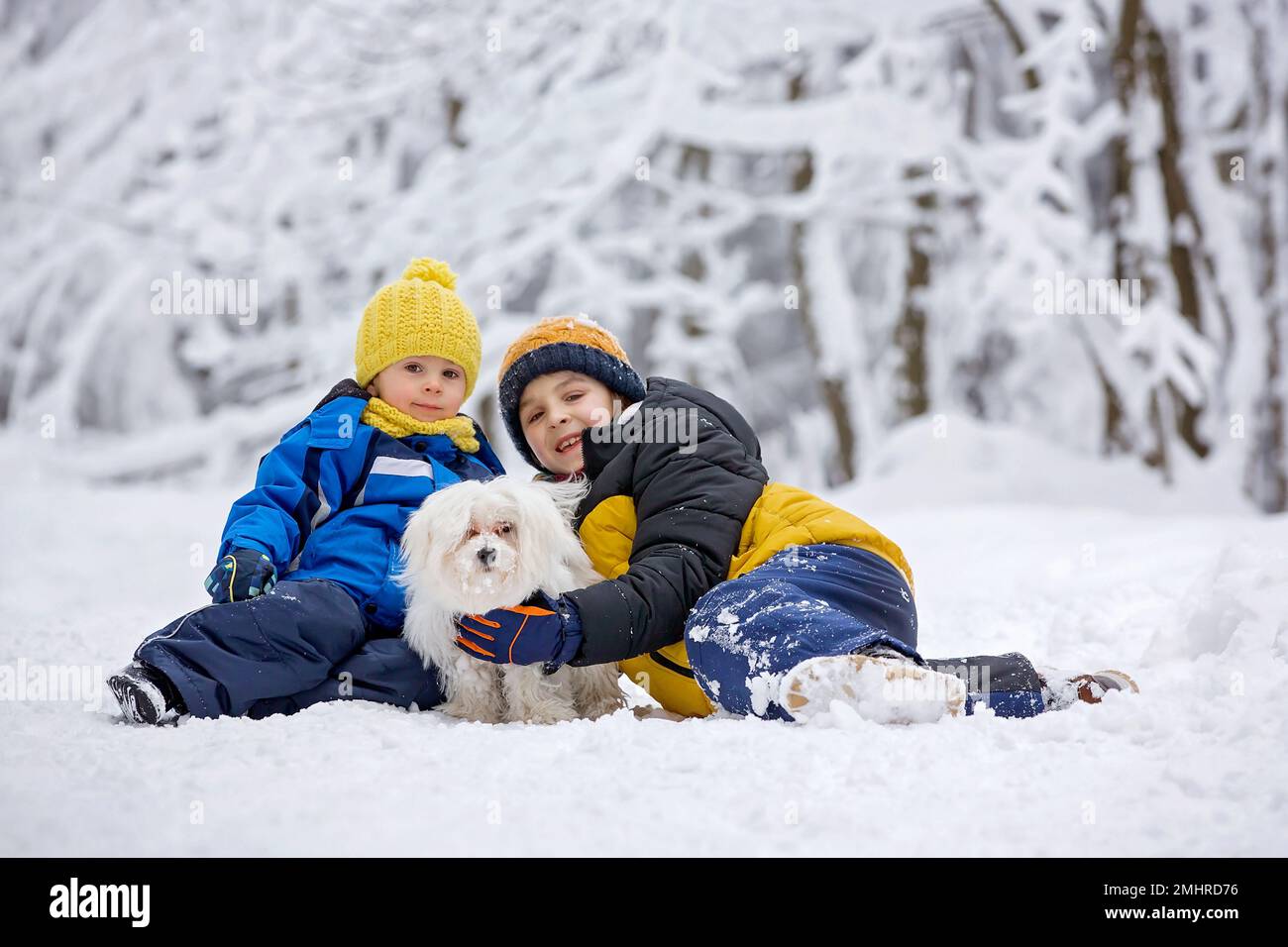 Sweet happy children, brothers, playing in deep snow in forest, frosted ...