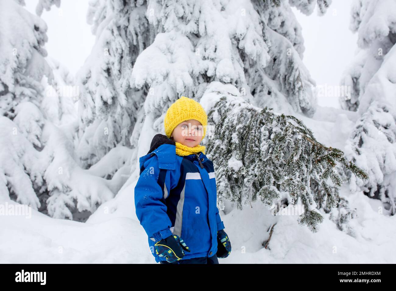 Sweet happy child, playing in deep snow in forest Stock Photo - Alamy