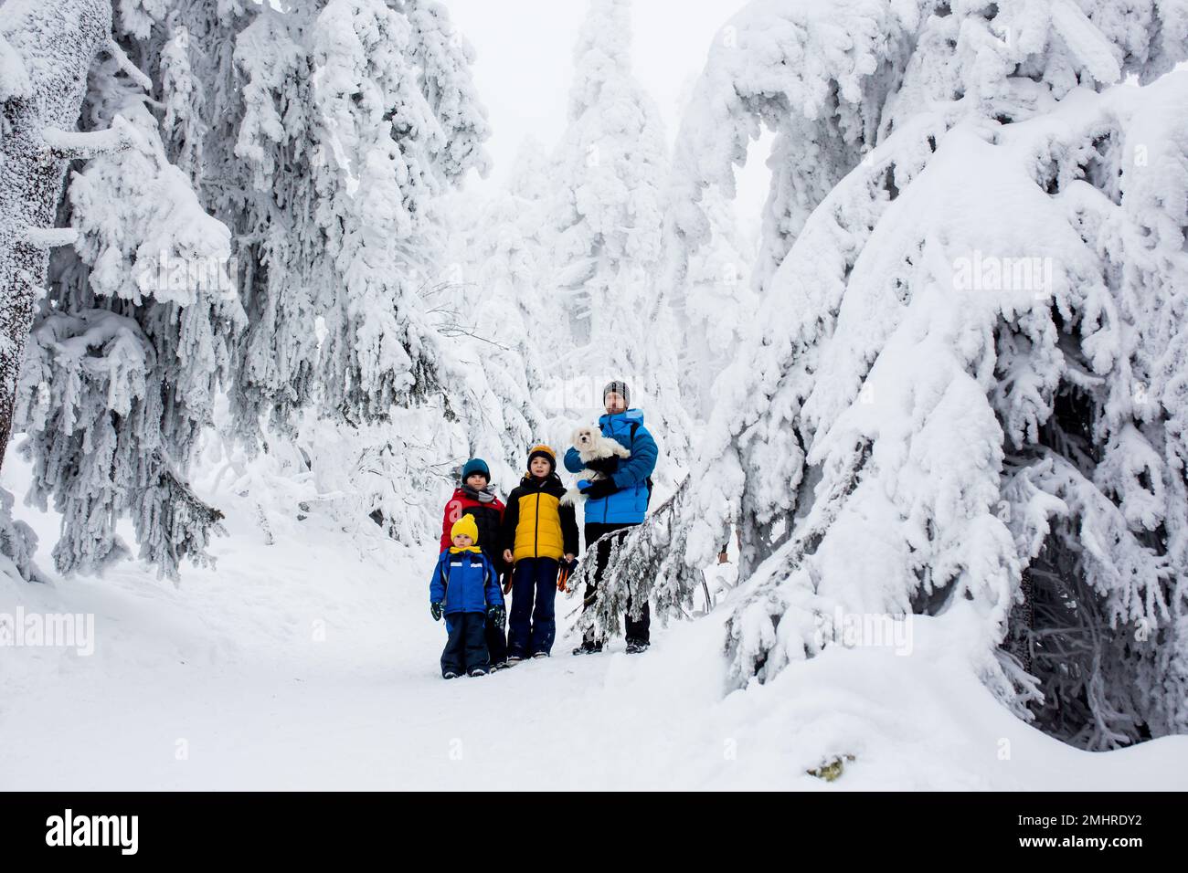 Sweet happy child, playing in deep snow in forest Stock Photo - Alamy