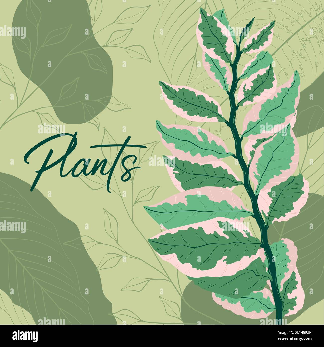 Colored foliage background with different leaves Vector illustration ...