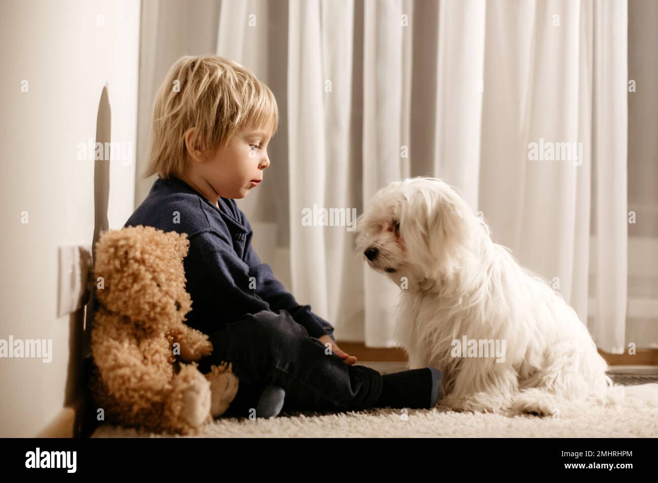 Angry little toddler child, blond boy, sitting in corner with teddy ...