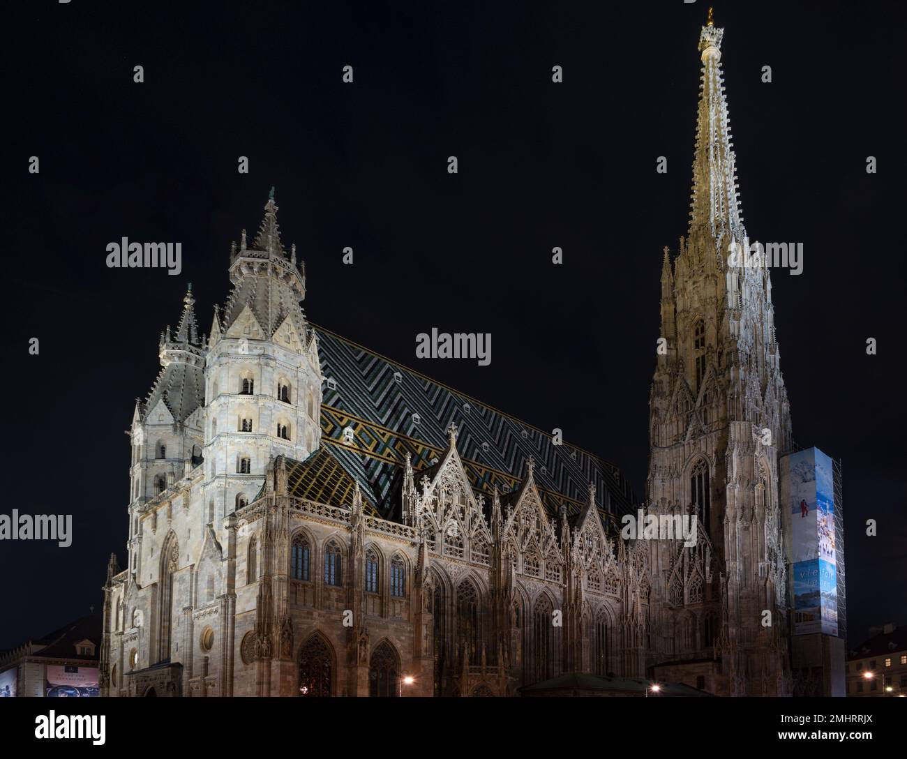 Night View of the illuminated St. Stephen's Cathedral the mother church ...