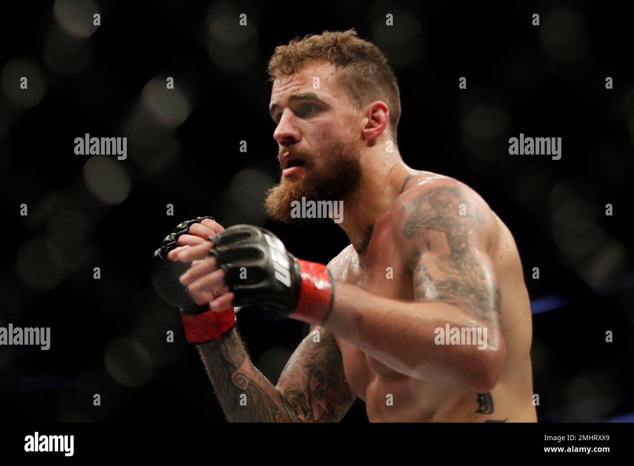 Daniel Spitz during a heavyweight mixed martial arts bout against ...