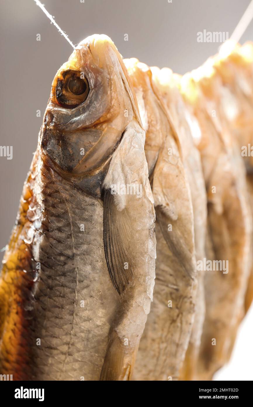 Dried fish hanging on market hi-res stock photography and images - Alamy