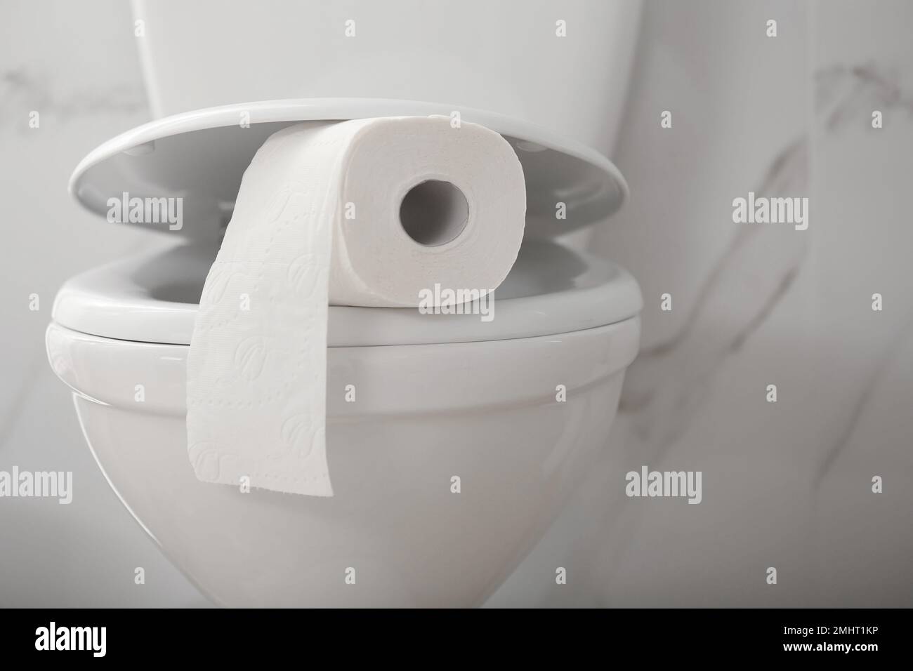 Toilet roll cover house hi-res stock photography and images - Alamy