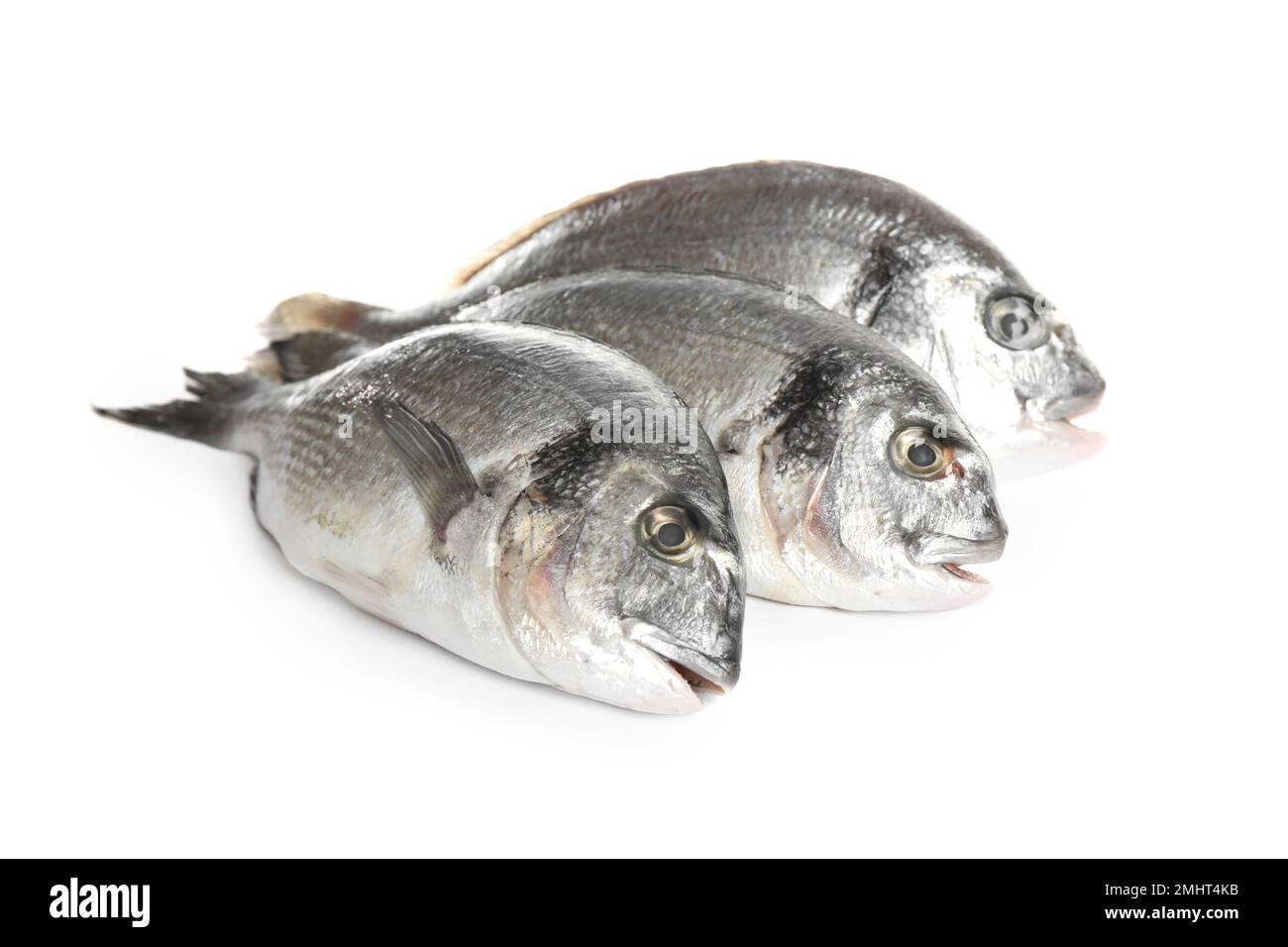 Three fresh dorada fish hi-res stock photography and images - Alamy