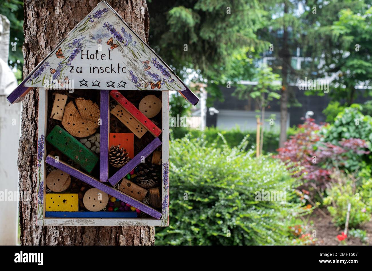 Hotel for insects in Sarajevo Stock Photo - Alamy