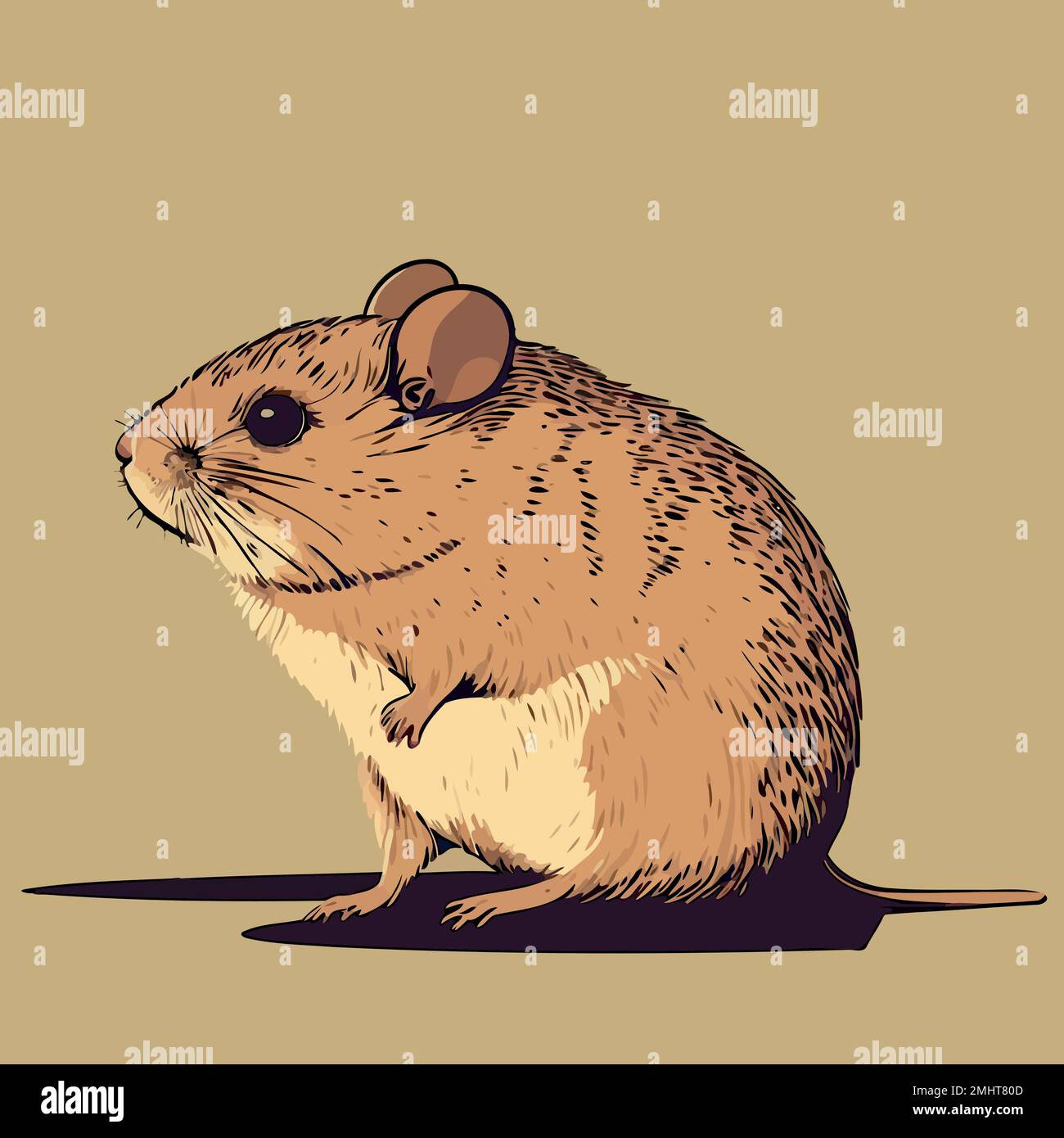 Vector illustration of small rodent mammal animal isolated Stock Vector ...