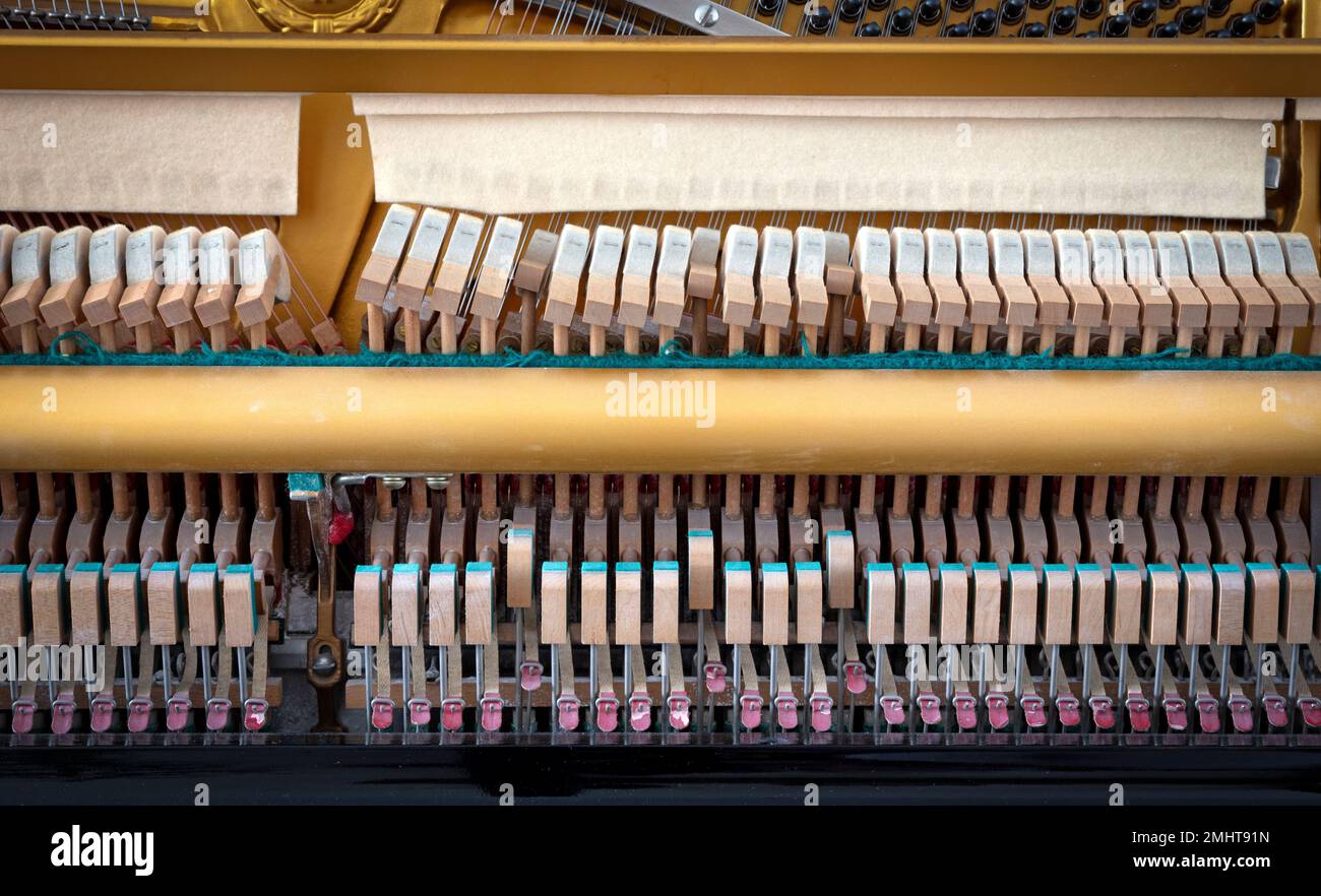 Details of piano mechanism gavel - string, pins and hammers, piano from ...