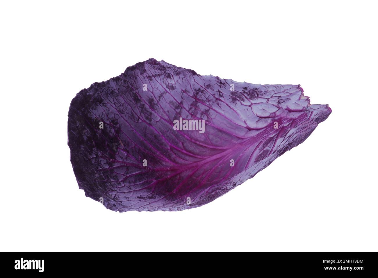 Fresh red cabbage leaf isolated on white Stock Photo - Alamy