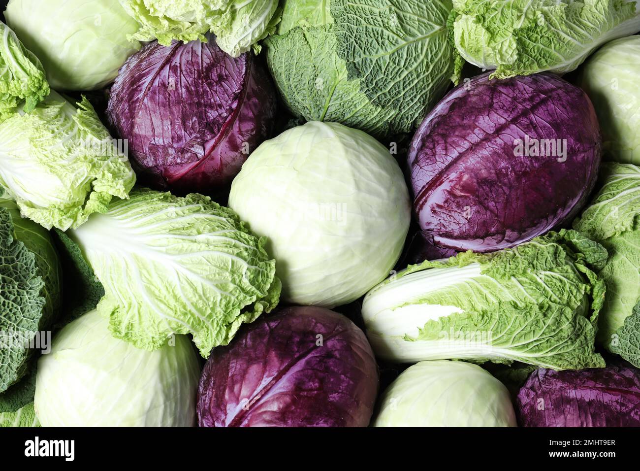 Different types of cabbage as background, top view Stock Photo - Alamy