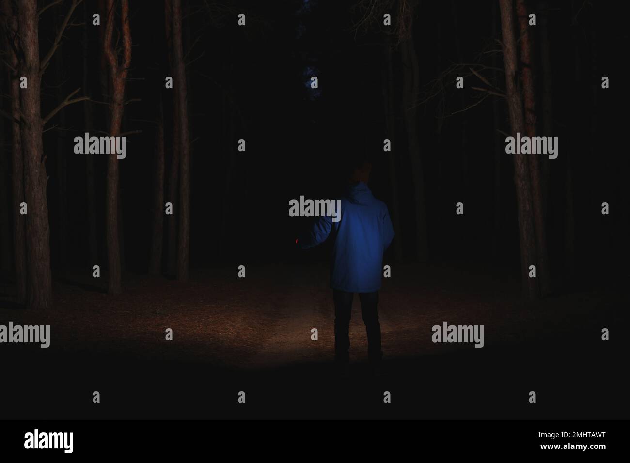 Man flashlight trees hi-res stock photography and images - Alamy