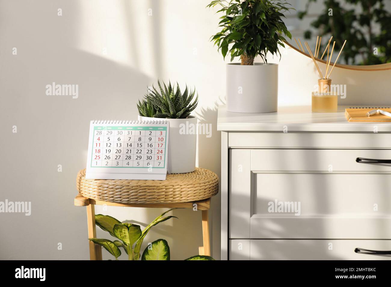 Paper calendar and succulent on wooden chair indoors Stock Photo - Alamy