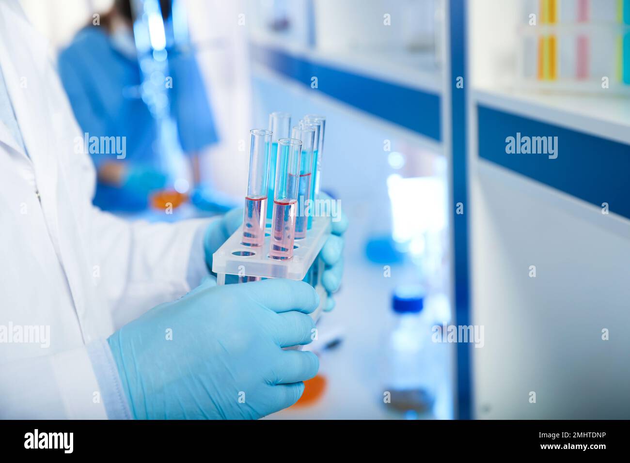 Scientist holding test tubes with liquid indoors, closeup. Laboratory ...