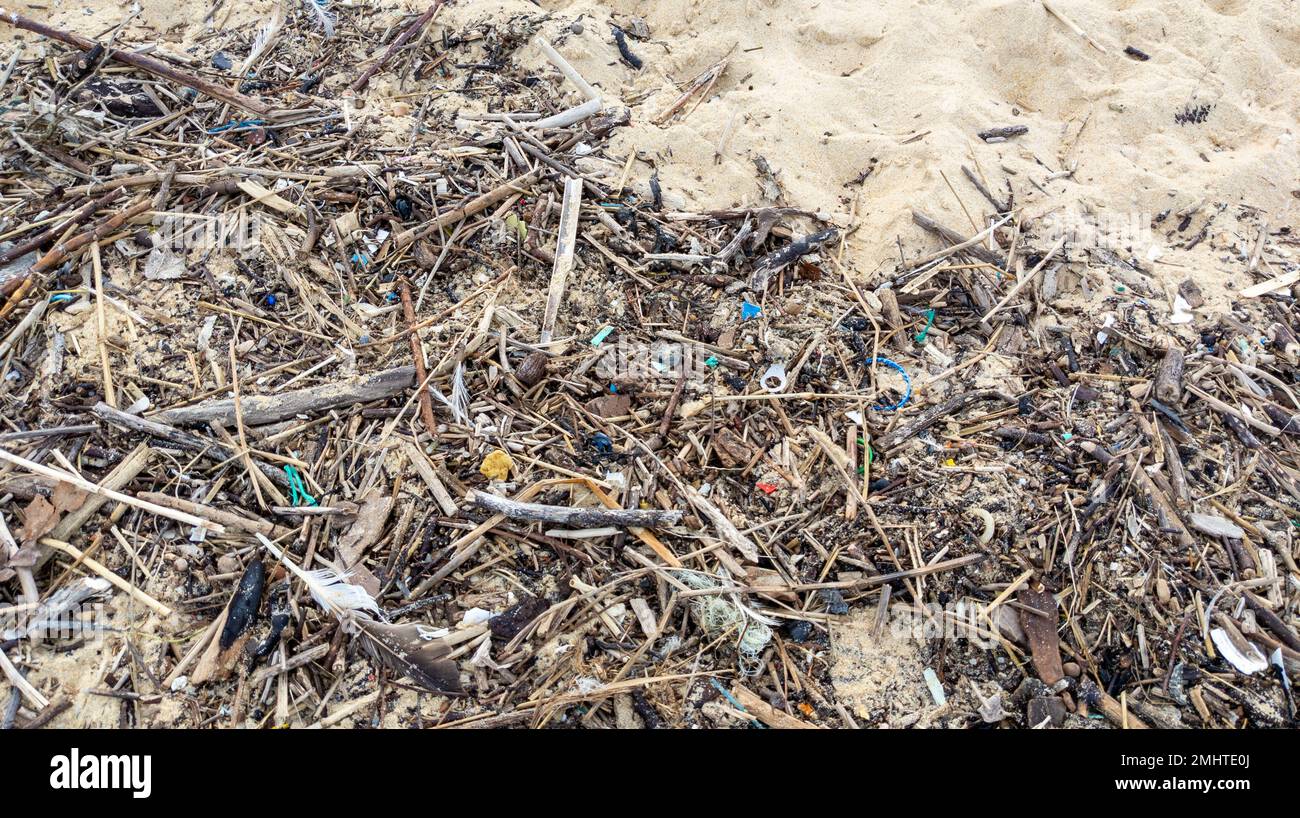 Micro Plastics Washing Ashore On The Beach polluted with microplastics ...