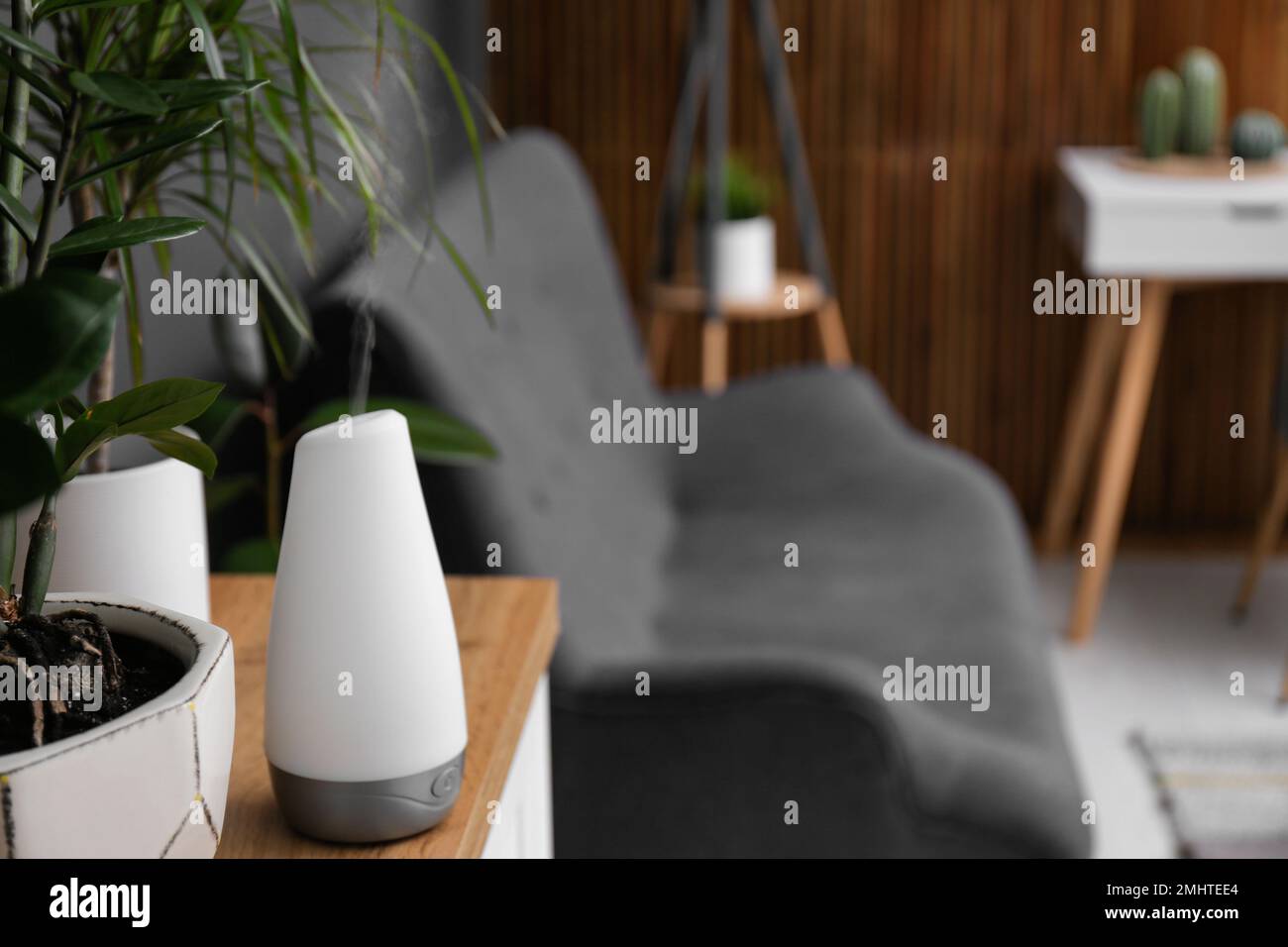 Plant and oil diffuser on cabinet indoors. Home design idea Stock Photo ...