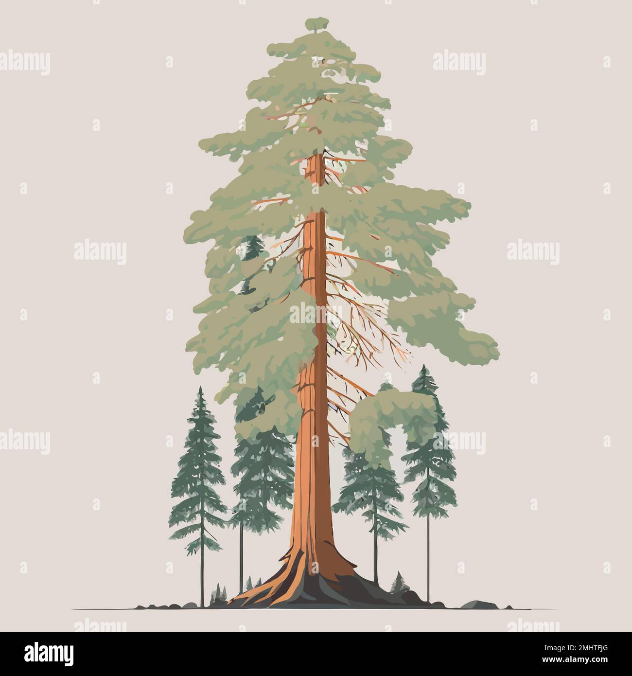 Giant sequoia Stock Vector Images - Alamy