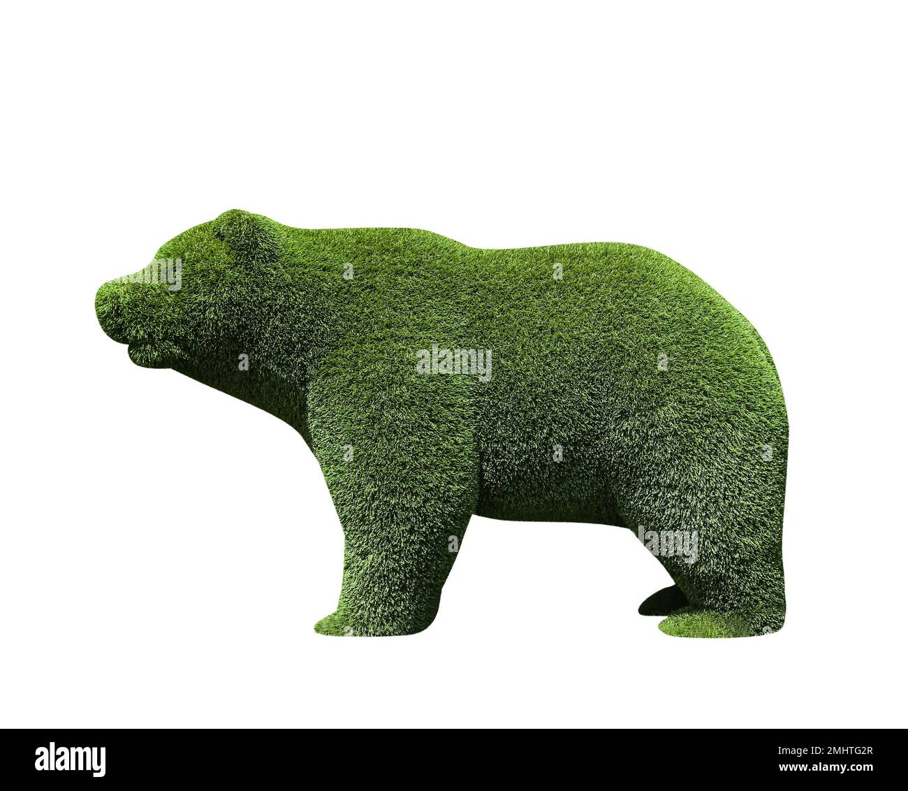 Beautiful bear shaped topiary isolated on white. Landscape gardening ...