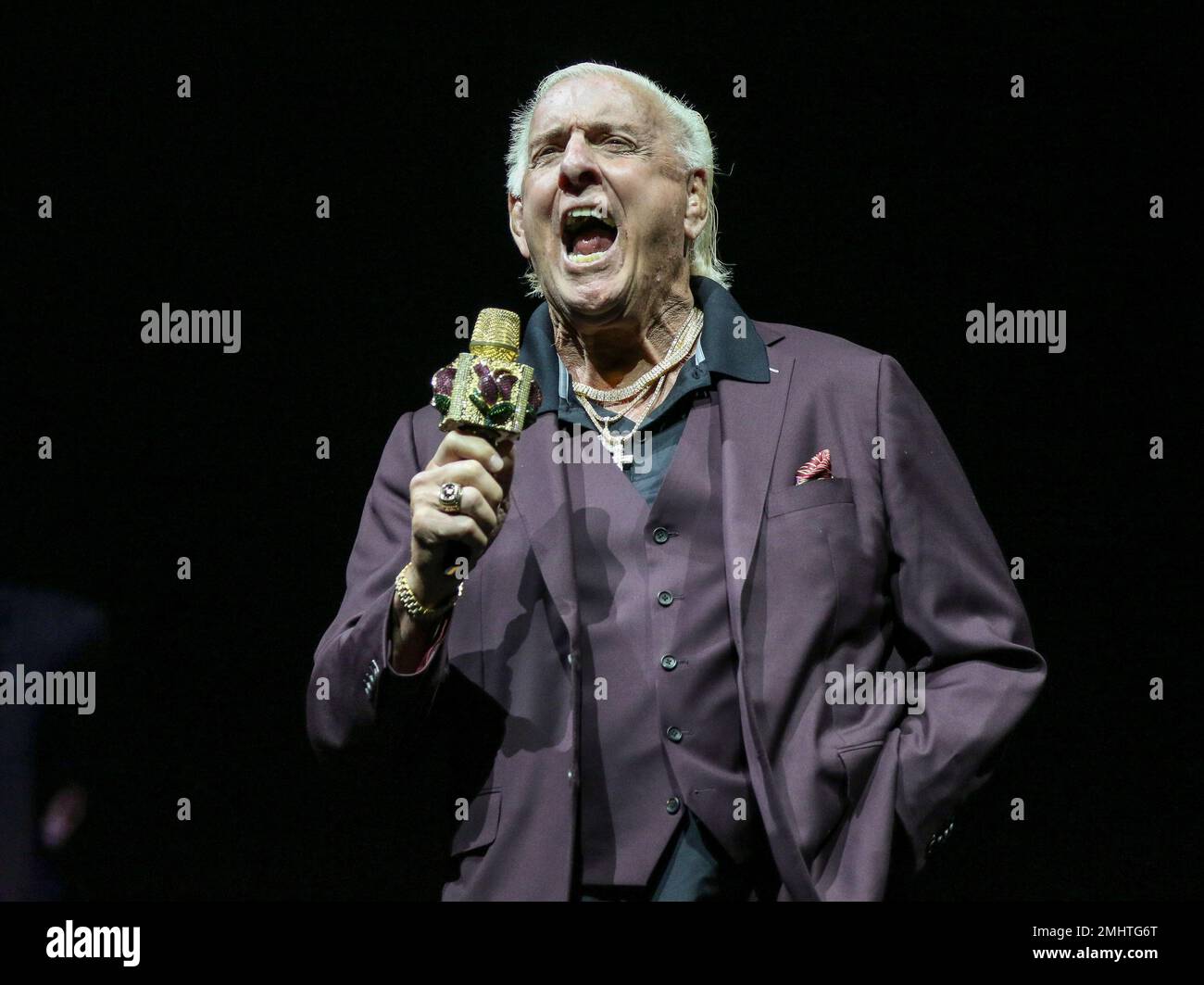 Ric Flair performs during the Runaway Tour at State Farm Arena on ...