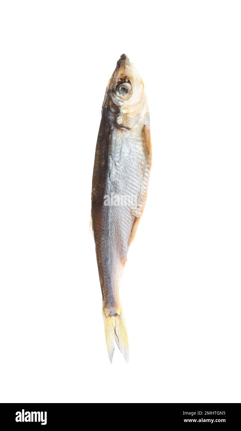 Dried fish business Cut Out Stock Images & Pictures - Alamy