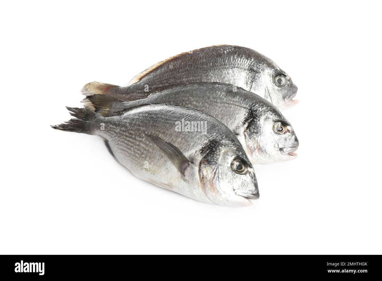 Fresh raw dorada fish isolated on white Stock Photo - Alamy