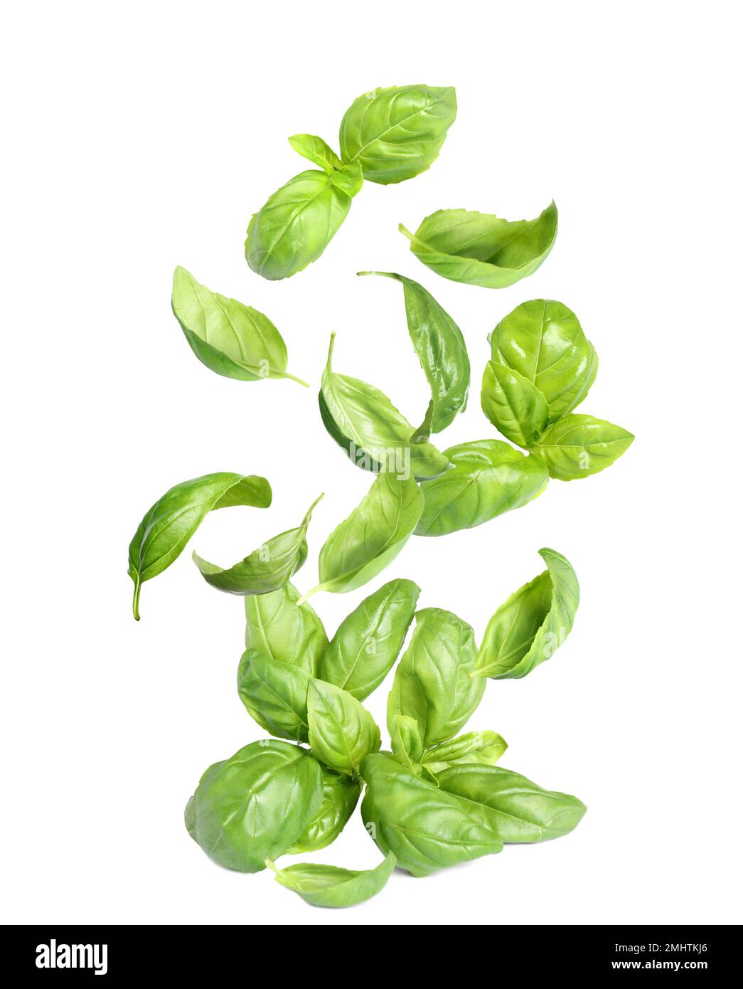 Fresh green basil leaves falling on white background Stock Photo - Alamy