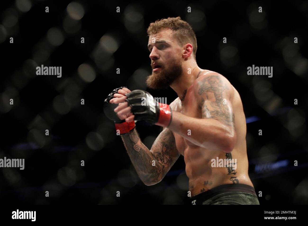 Daniel Spitz during a heavyweight mixed martial arts bout, Friday, Oct ...