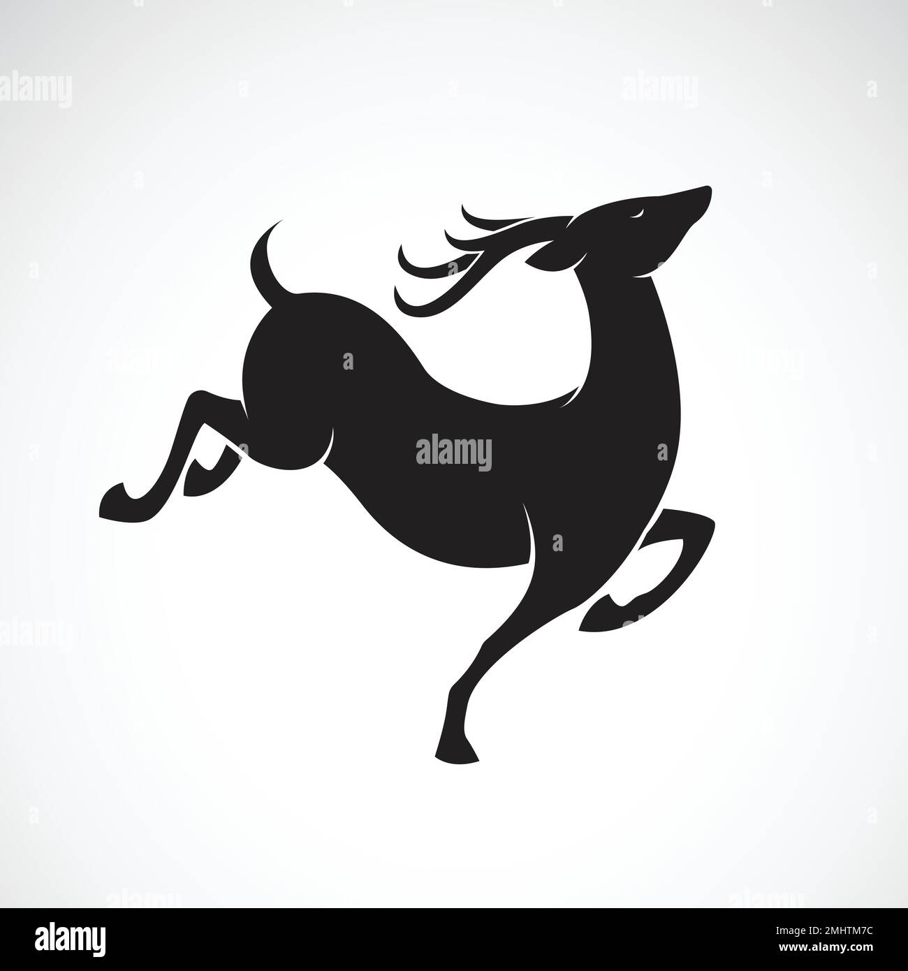 Vector of deer design on white background. Wild Animals. Easy editable ...