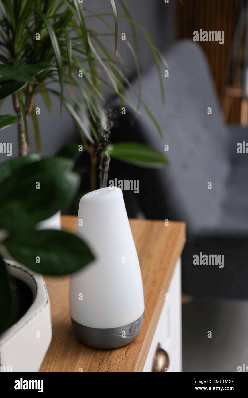 Plant and oil diffuser on cabinet indoors. Home design idea Stock Photo ...