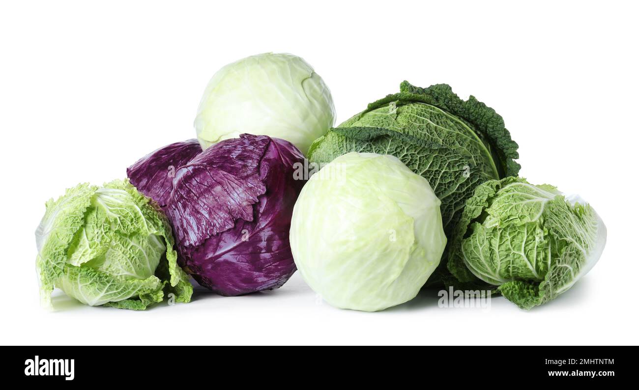 Different types of cabbage isolated on white Stock Photo - Alamy