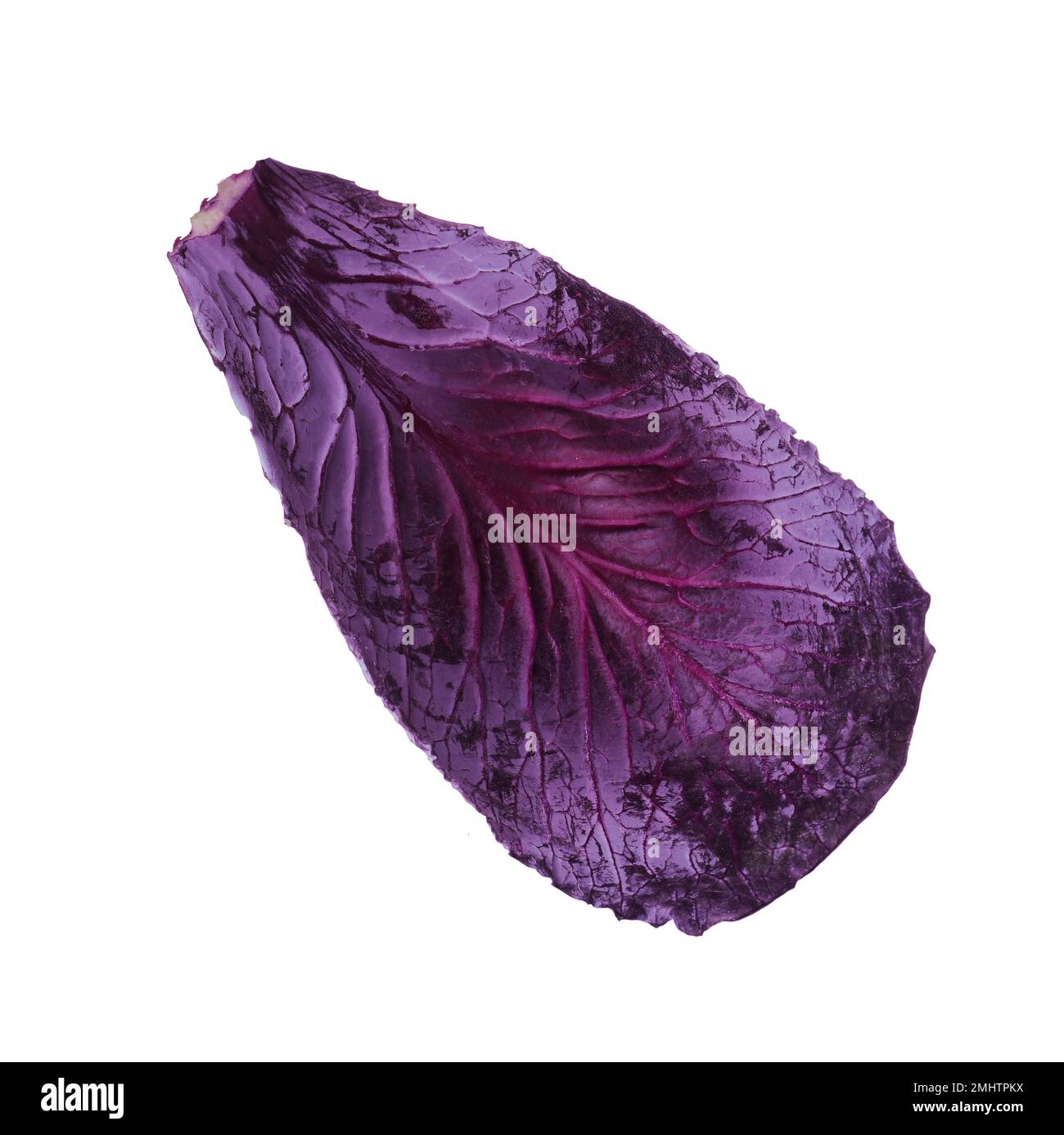 Fresh red cabbage leaf isolated on white Stock Photo - Alamy