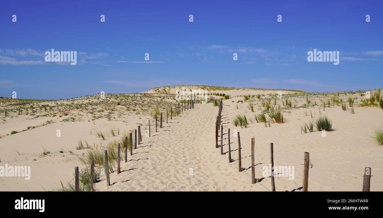 french coast access with sand beach grass and entrance to ocean ...