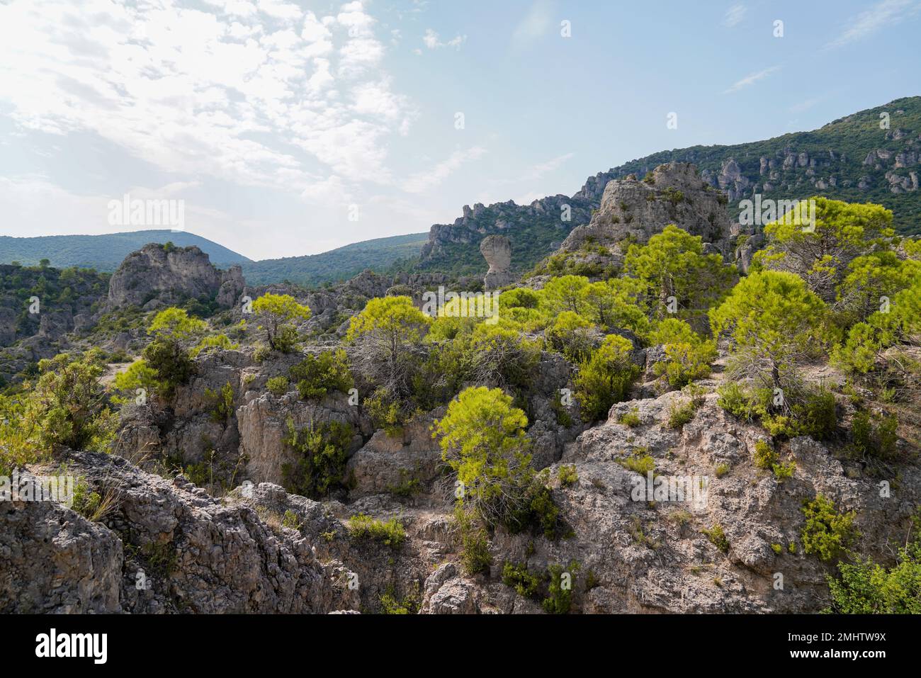 Rocks high stone columns in the erosion park carved naturally mountain ...