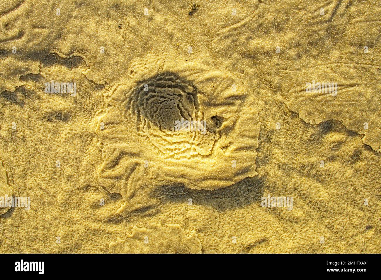 Natural background texture of frozen sand close-up. Winter beach view ...