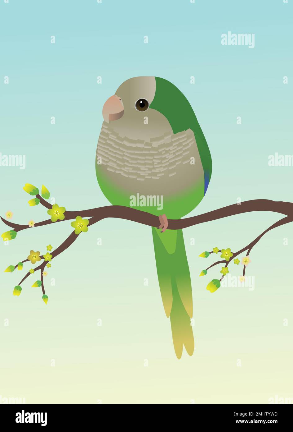 Yellow Quaker Parrot