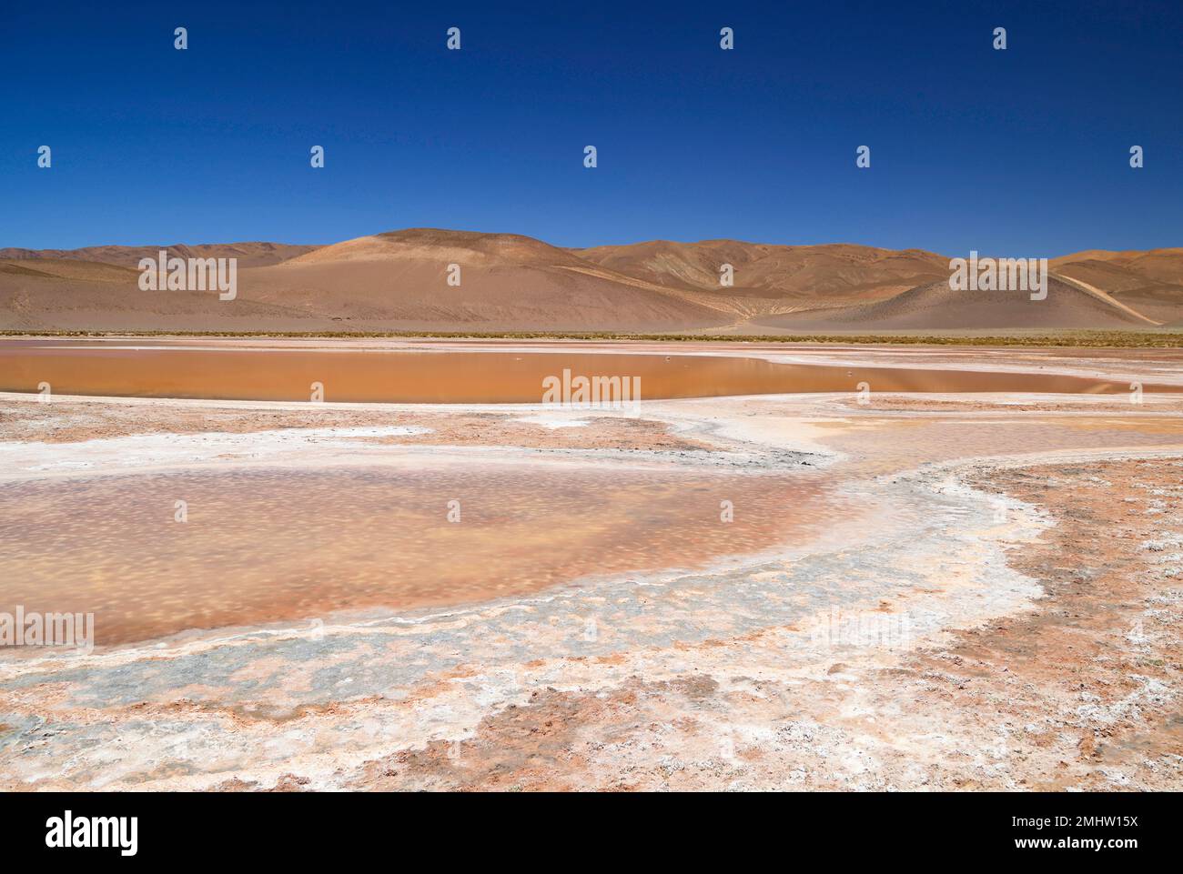 Carachi Pampas lagoon biosphere reserve, Argentina Stock Photo - Alamy