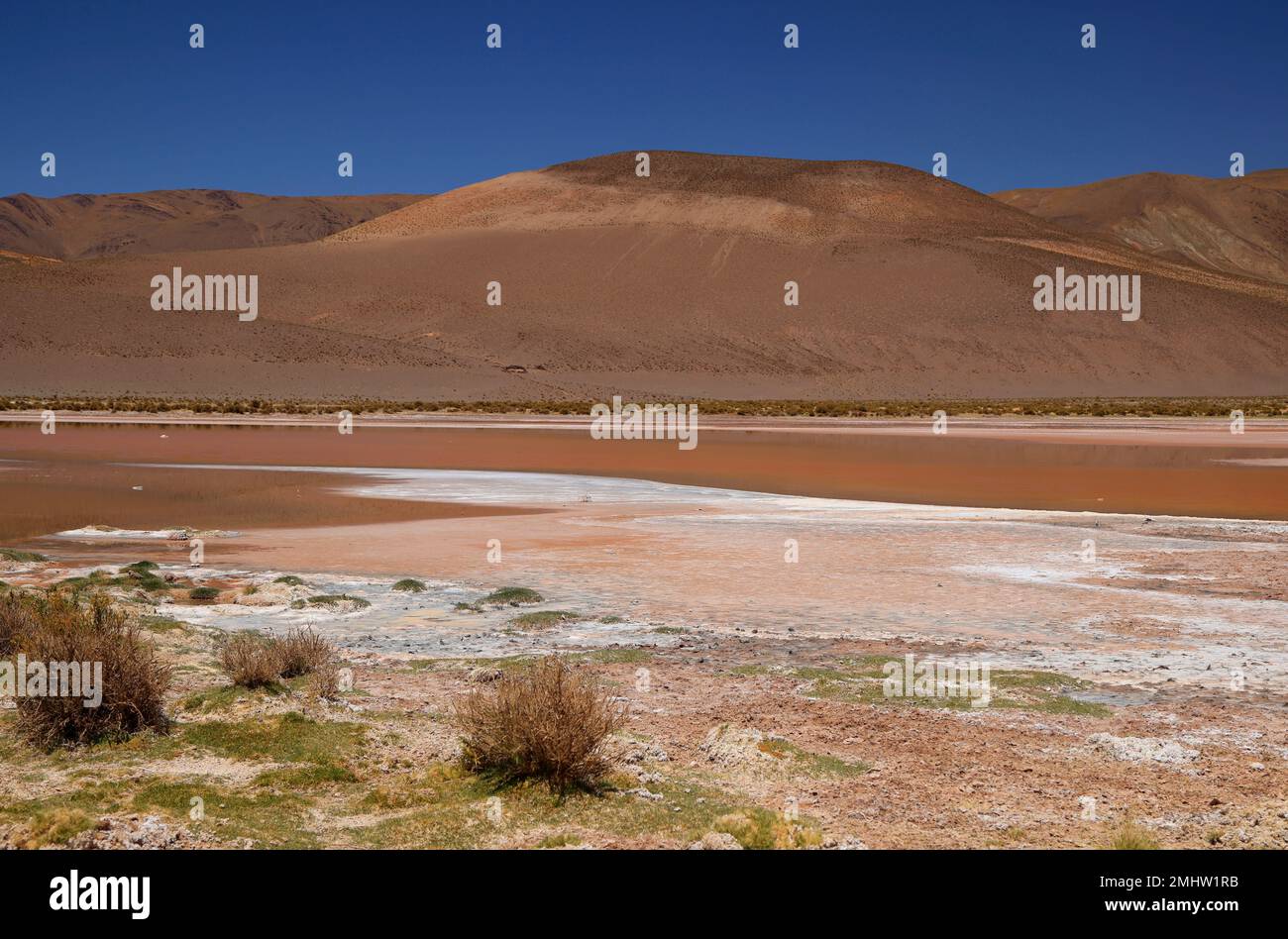 Carachi Pampas lagoon biosphere reserve, Argentina Stock Photo - Alamy